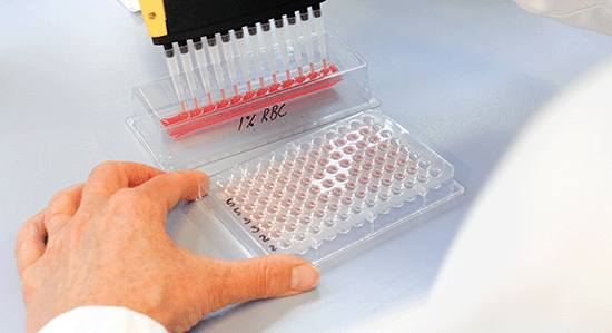Inactivated avian influenza H5 antigens