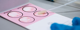 Veterinary laboratory tests